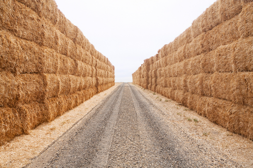 Lycetts Protect lives – and livelihoods – from bale dangers - Lycetts